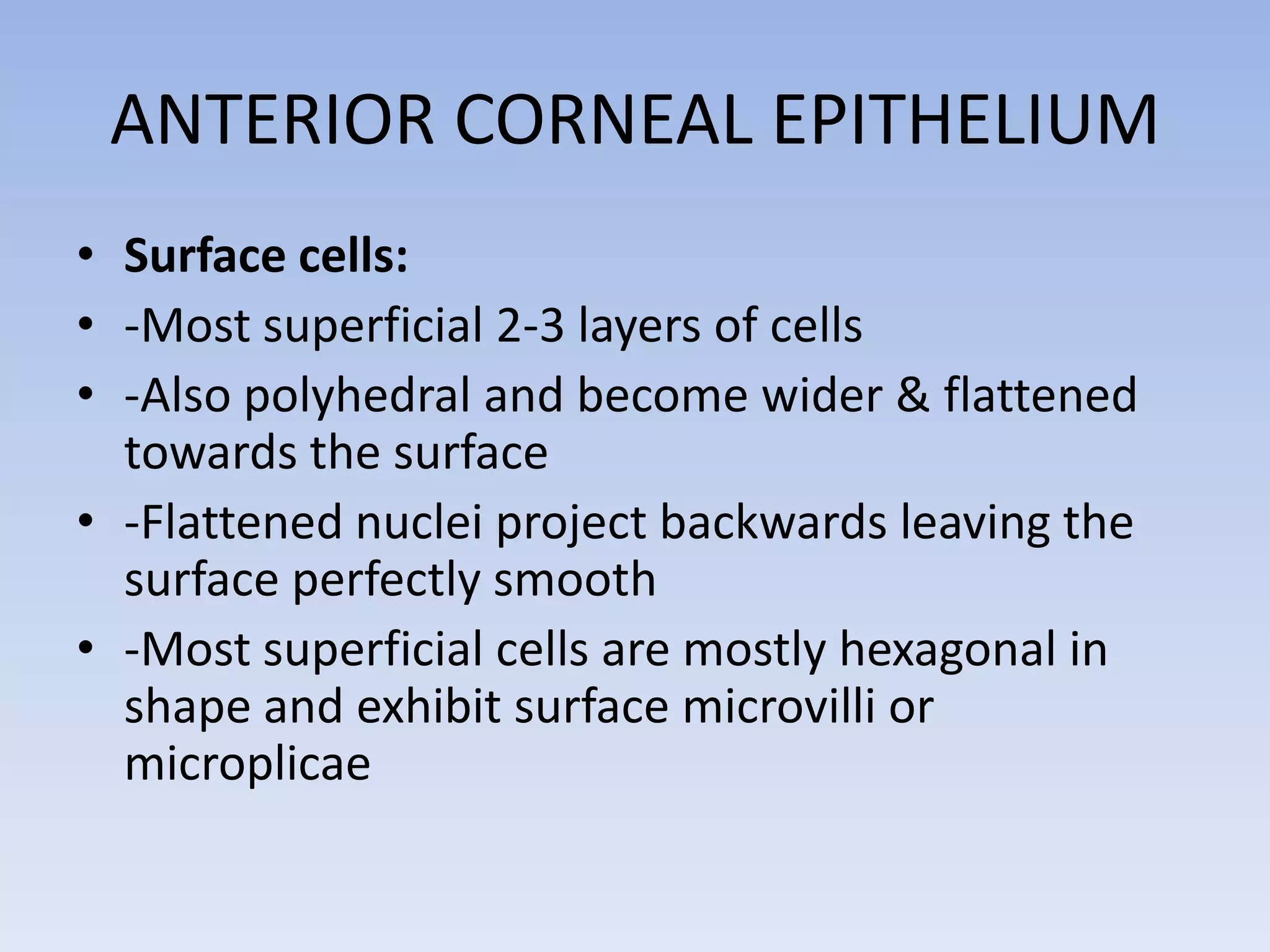 Cornea Anatomy and Physiology | PDF