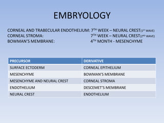 Cornea Anatomy and Physiology | PPT