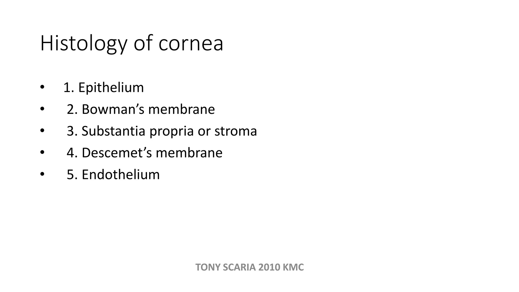 Cornea REVISION NOTES | PPT