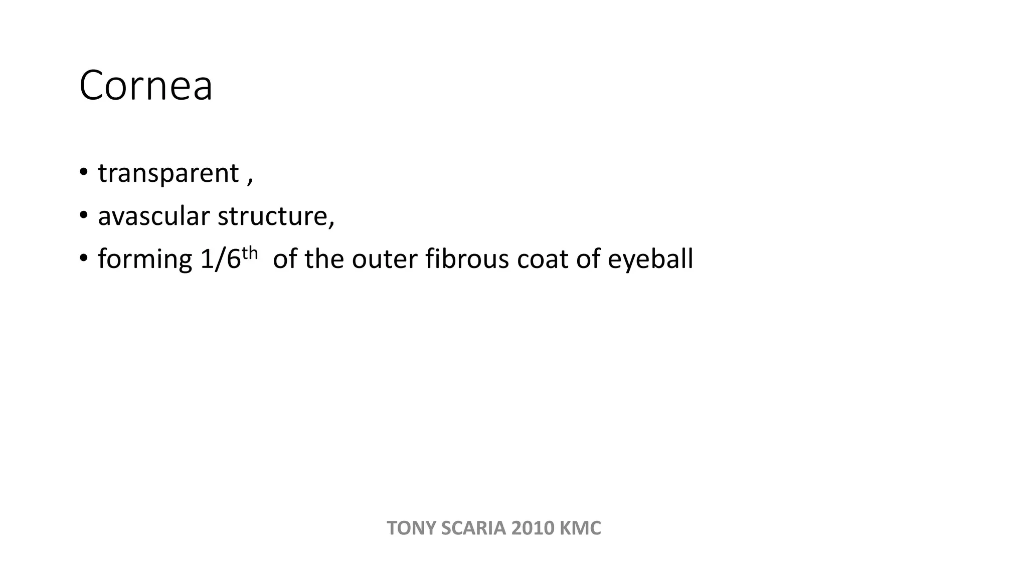 Cornea REVISION NOTES | PPT