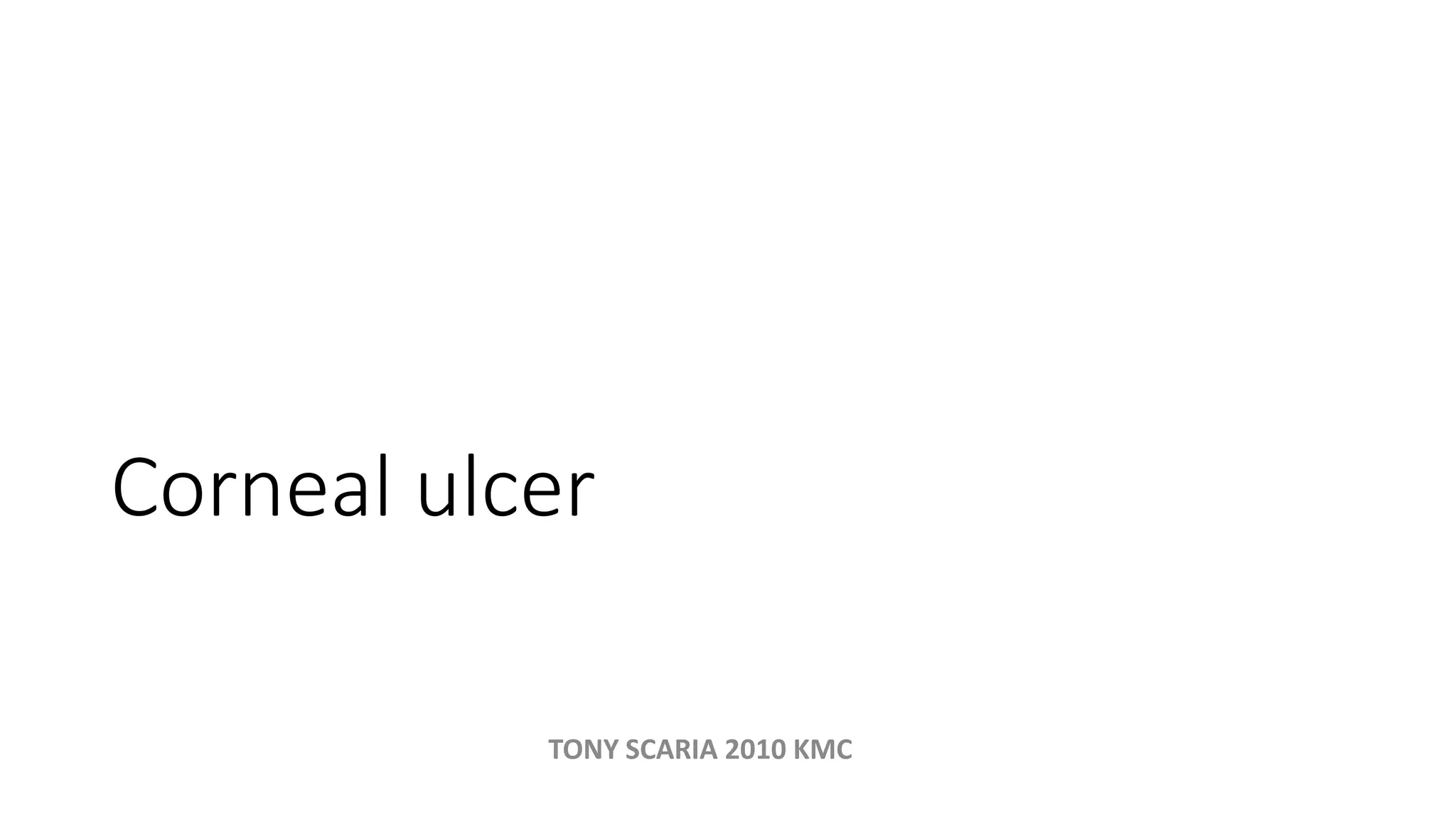 Cornea REVISION NOTES | PPT