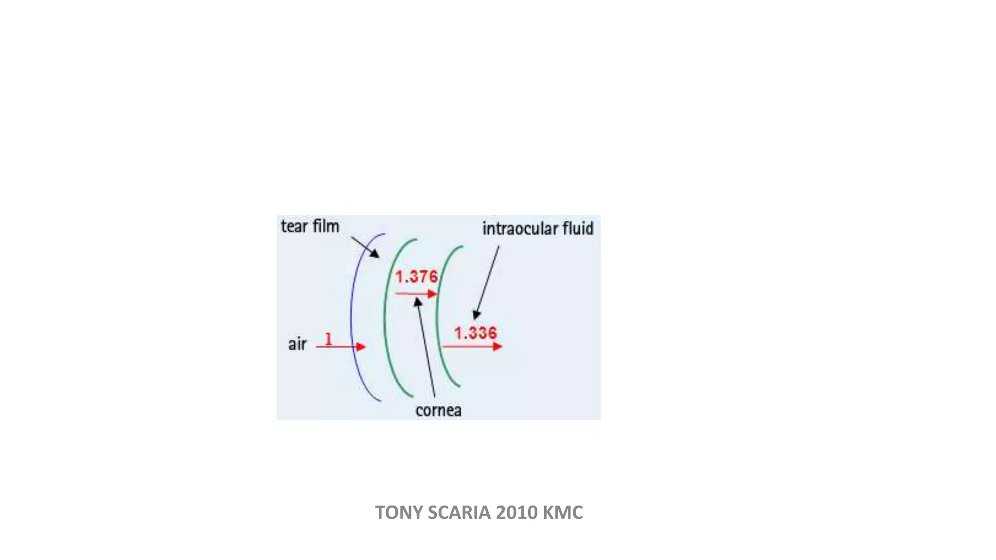 Cornea REVISION NOTES | PPT