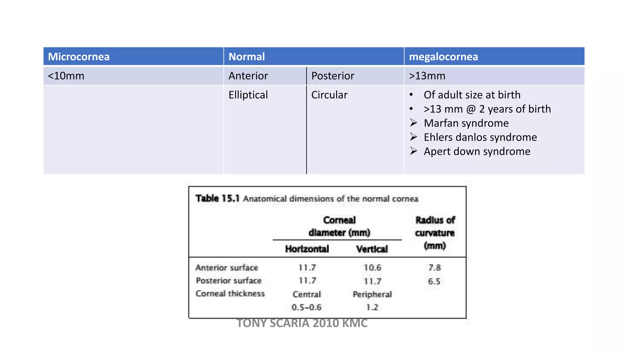 Cornea REVISION NOTES | PPT