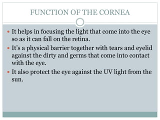 Cornea | PPTX