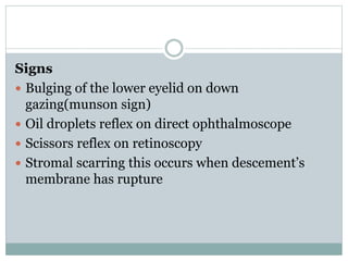 Cornea | PPTX