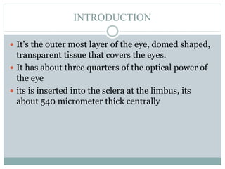 Cornea | PPTX