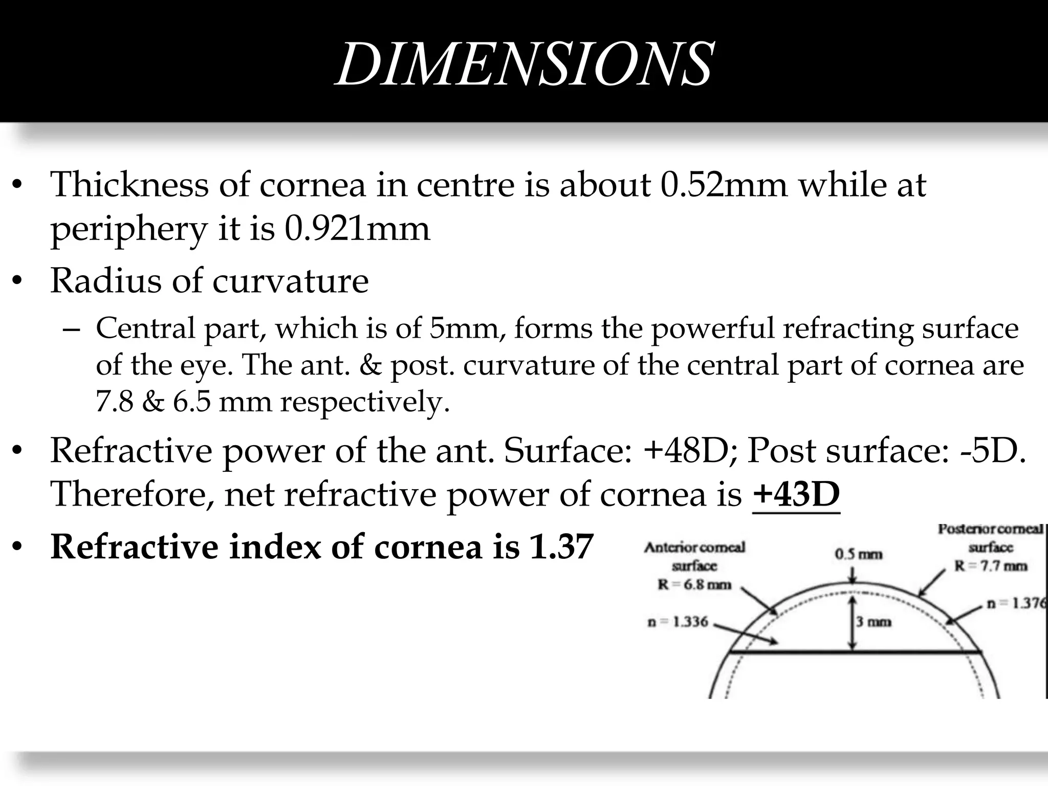 Cornea | PPTX