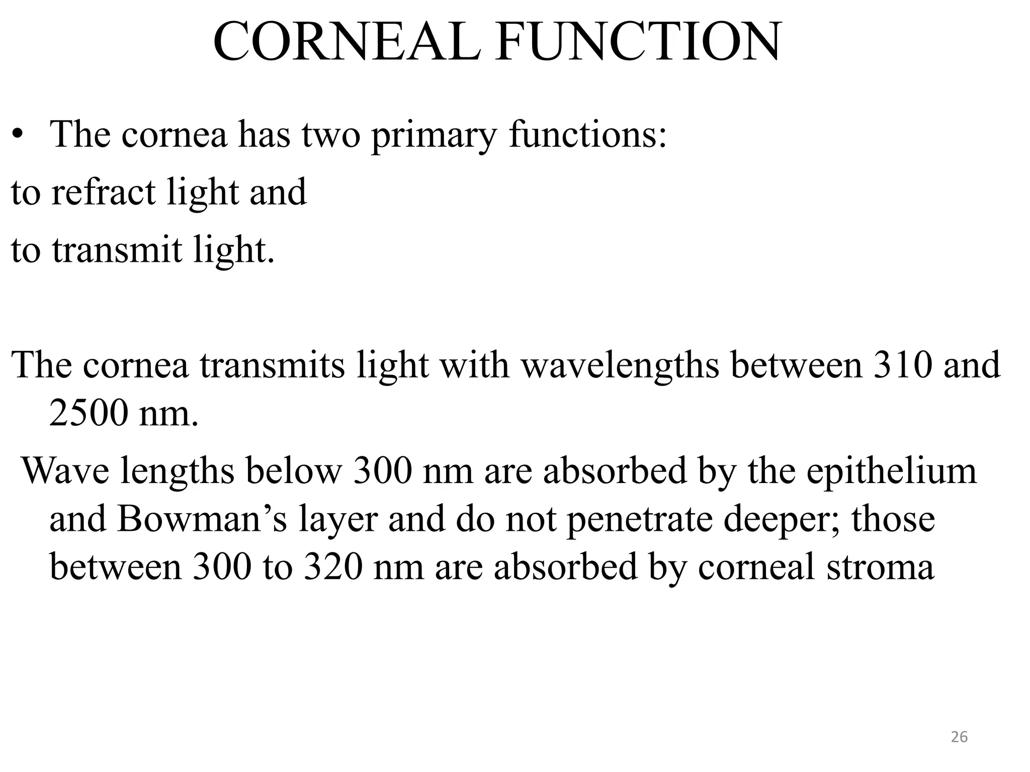 Cornea | PPTX