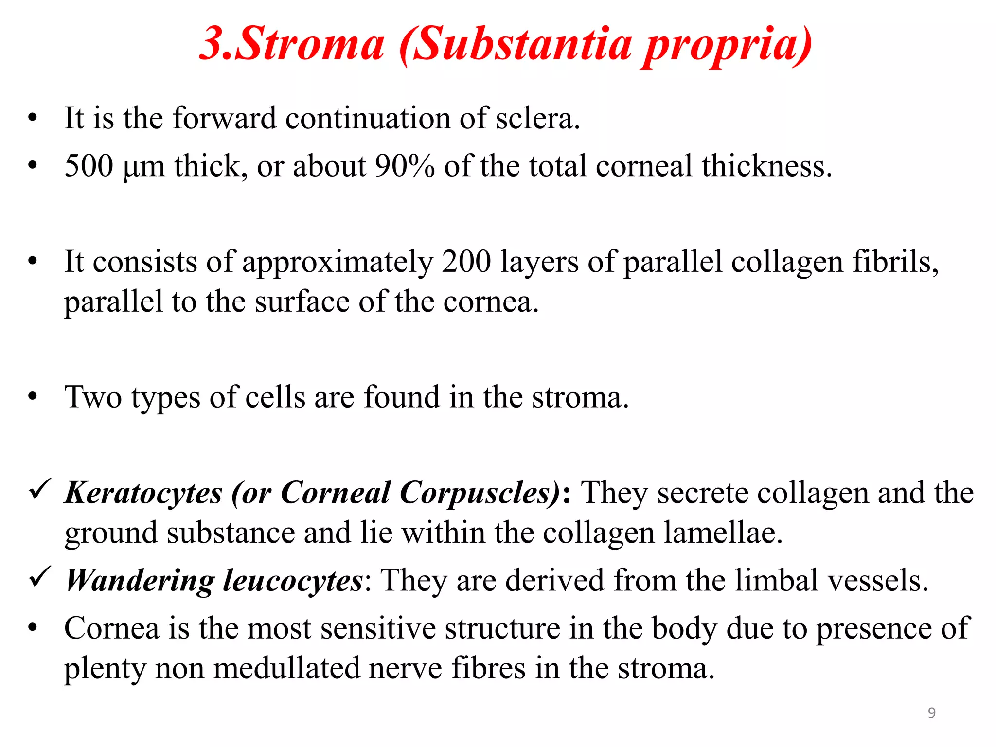 Cornea | PPTX