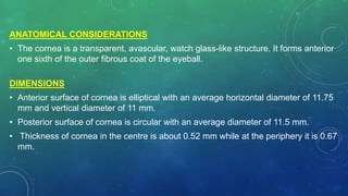 CORNEA.pptx