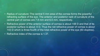 CORNEA.pptx