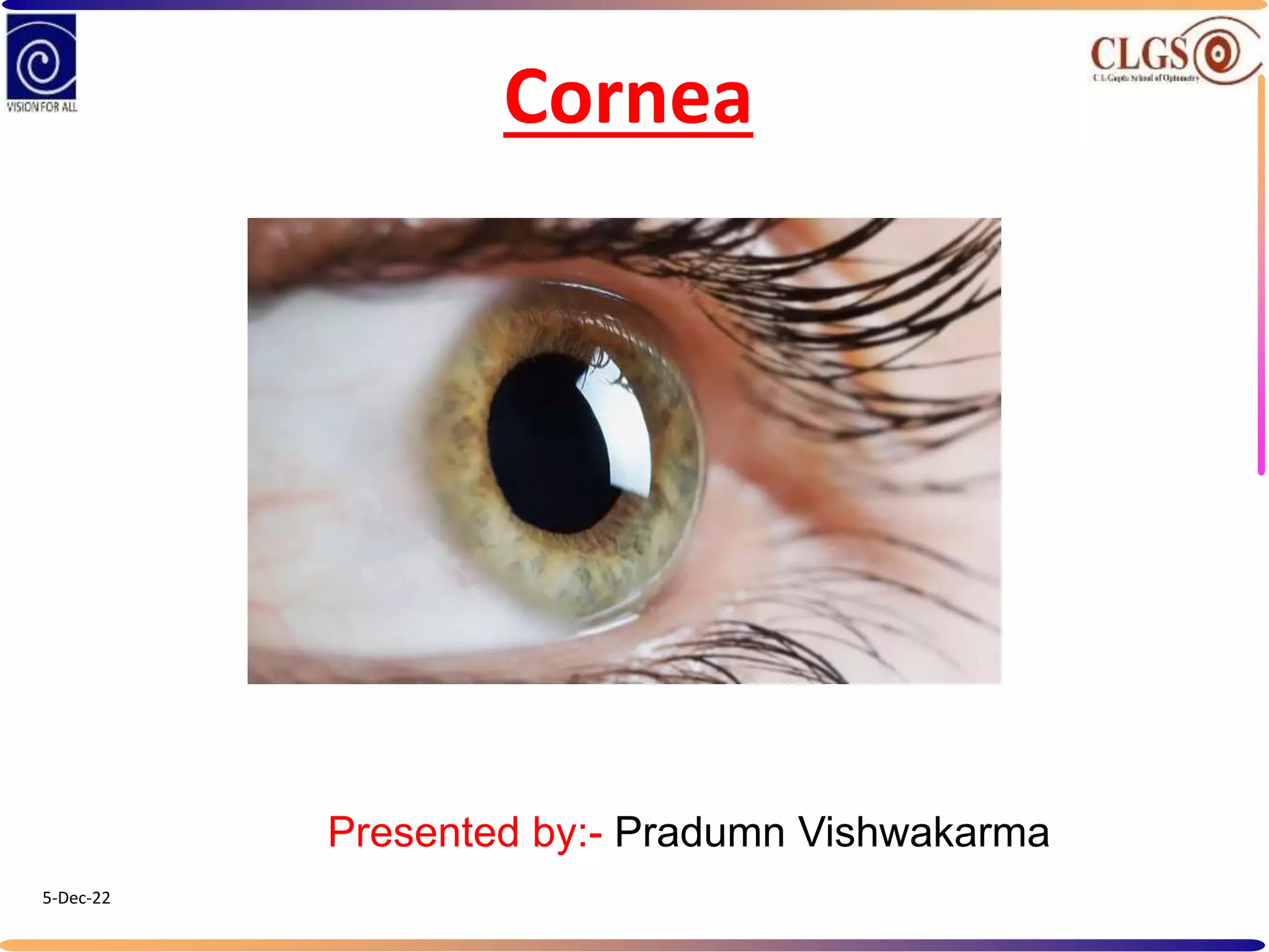 Basics of Cornea by Pradumn .pptx