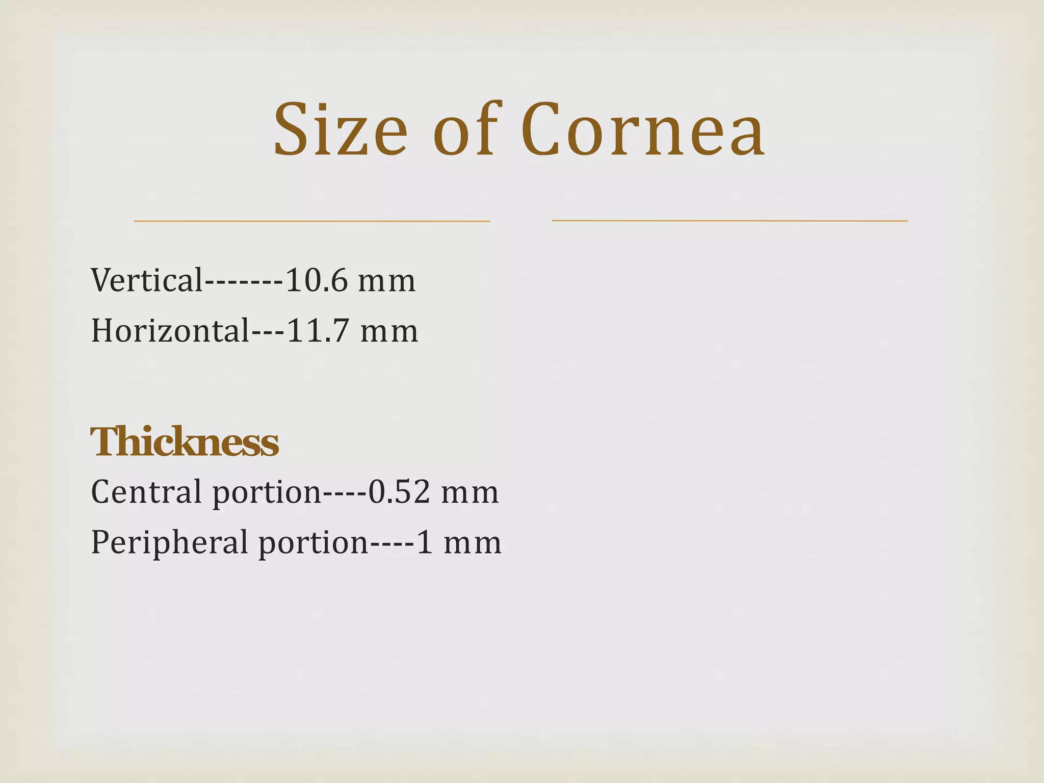 cornea.pptx