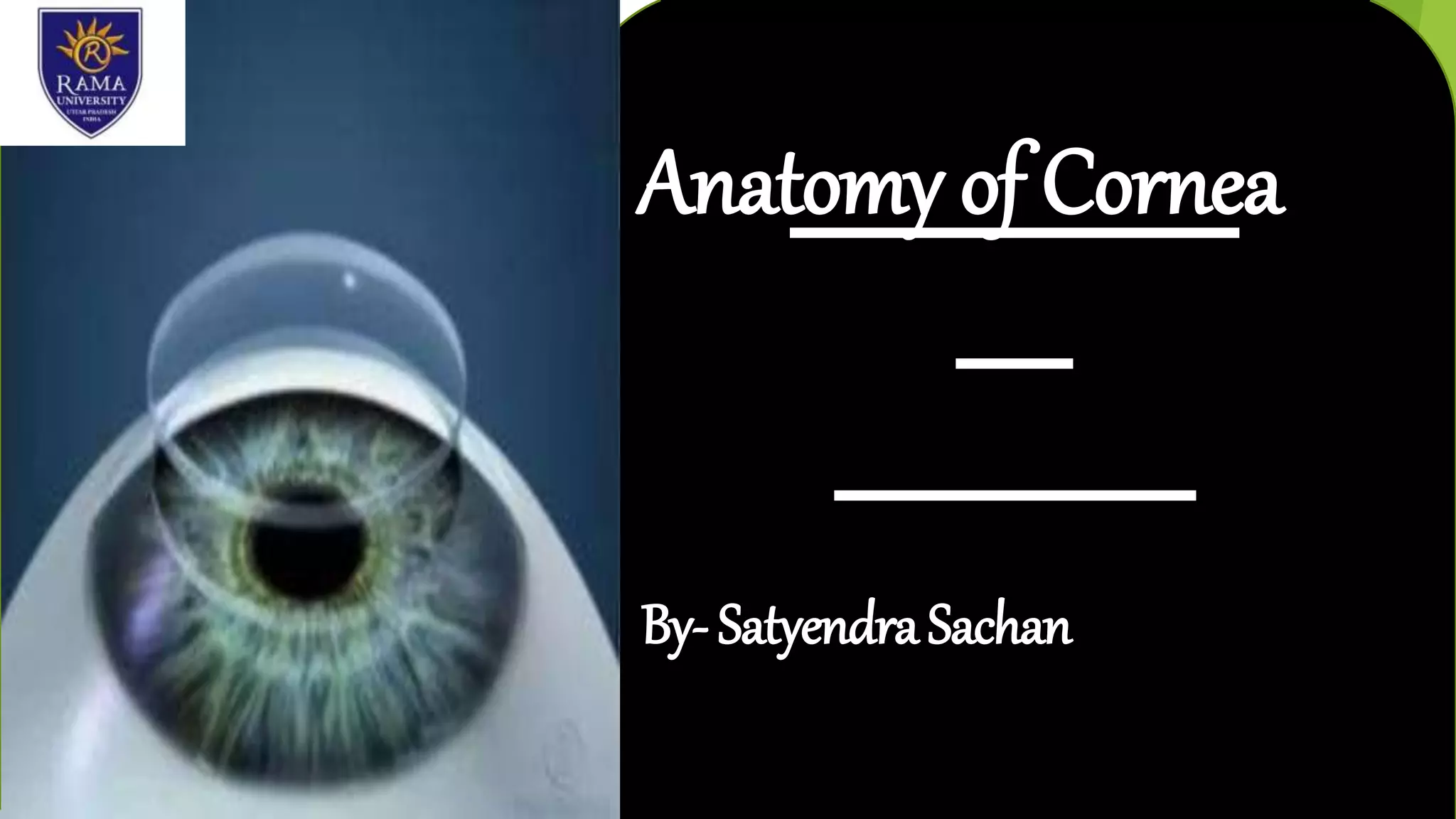 Anatomy of cornea | PPTX