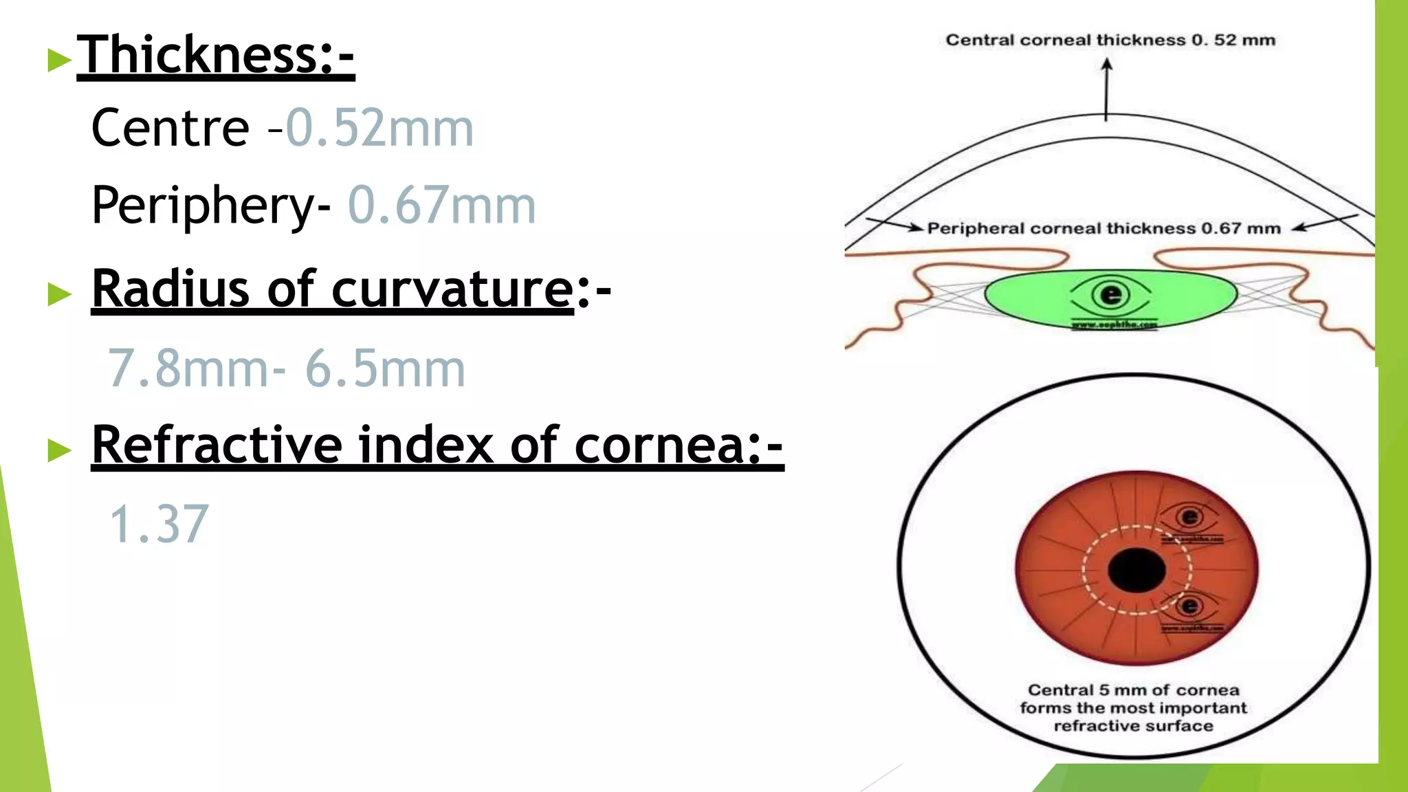 Anatomy of cornea | PPTX