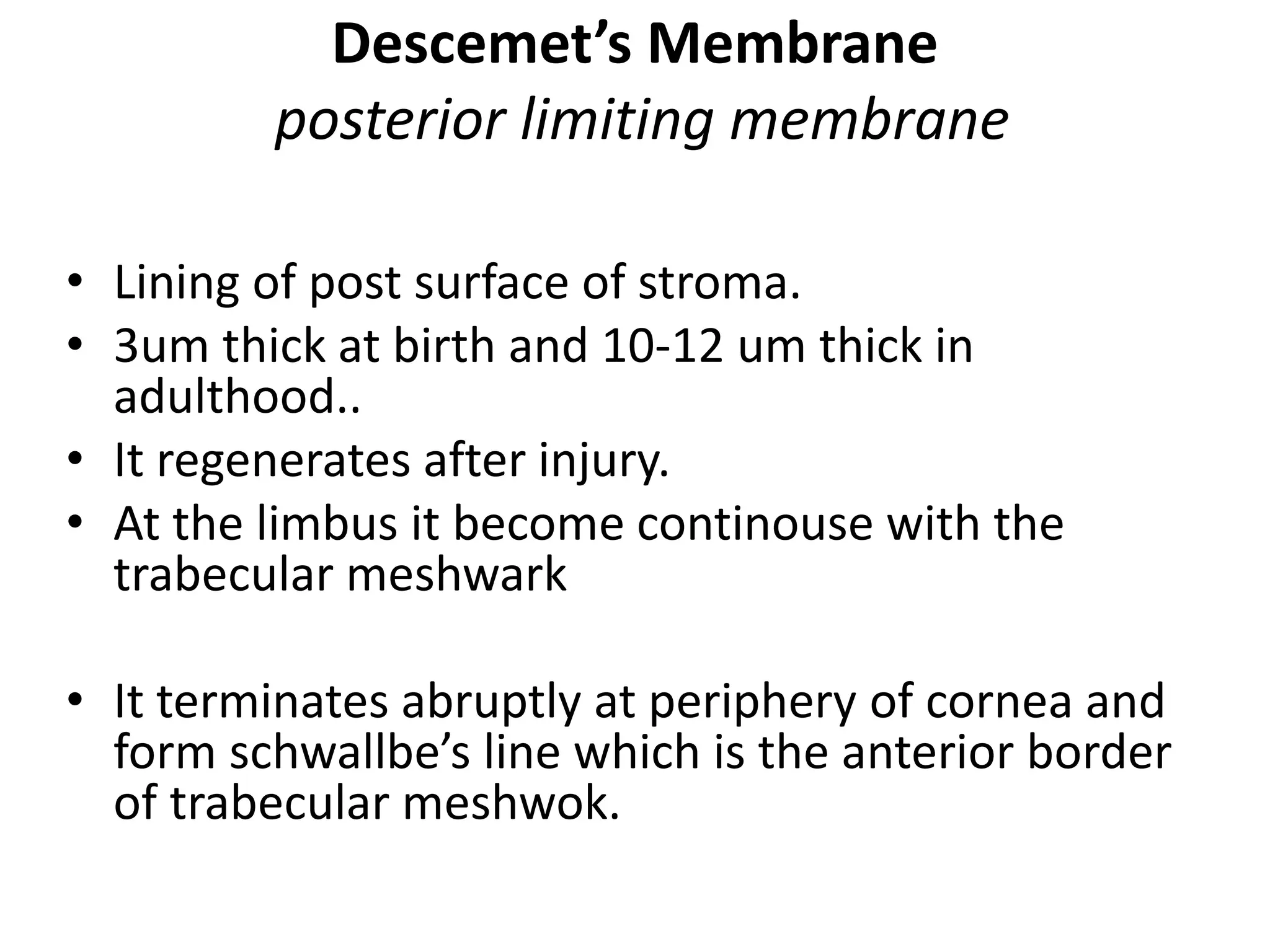 CORNEA.anatomy of cornea .ophthalmology lecture | PPT