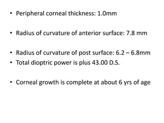 CORNEA.anatomy of cornea .ophthalmology lecture | PPT