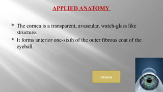 cornea.pptx applied anatomy, dimensions,layers, blood supply, nerve ...