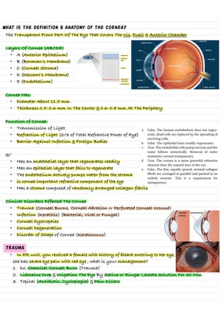 Cornea (special sens. “ophthalmology”).pdf
