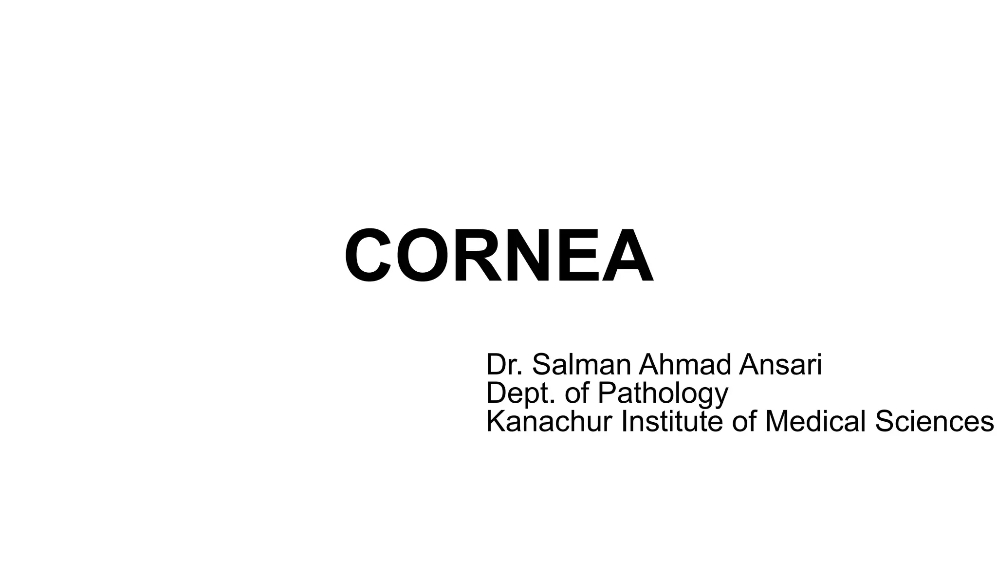 Cornea - Anatomy and Pathology - Pathology - Optometry | PPTX