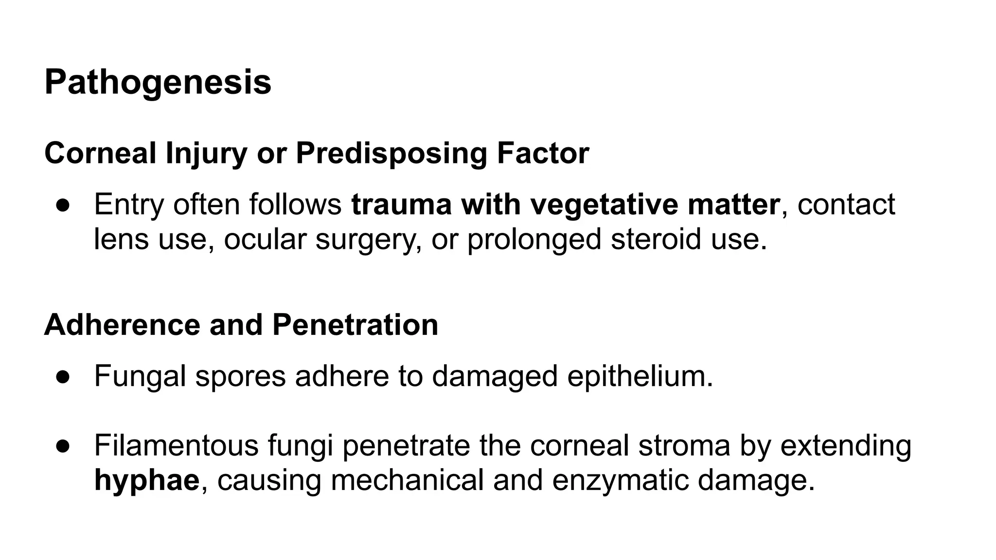 Cornea - Anatomy and Pathology - Pathology - Optometry | PPTX
