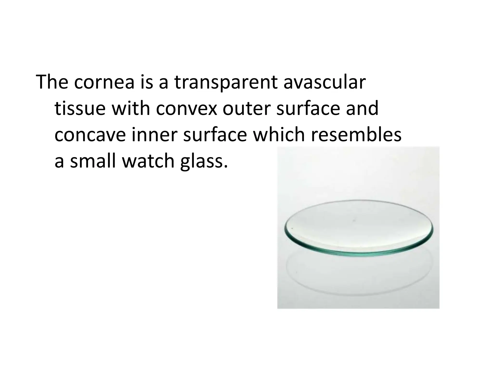 CORNEA-Anatomy,Corneal Transperency.pptx