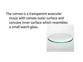 CORNEA-Anatomy,Corneal Transperency.pptx