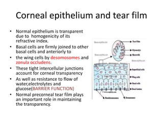 CORNEA-Anatomy,Corneal Transperency.pptx