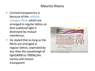 CORNEA-Anatomy,Corneal Transperency.pptx