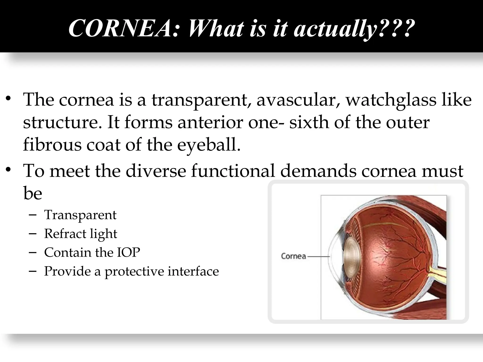 cornea- Dr. Mokhlesur Rahman (Anatomy and Physiology).pptx