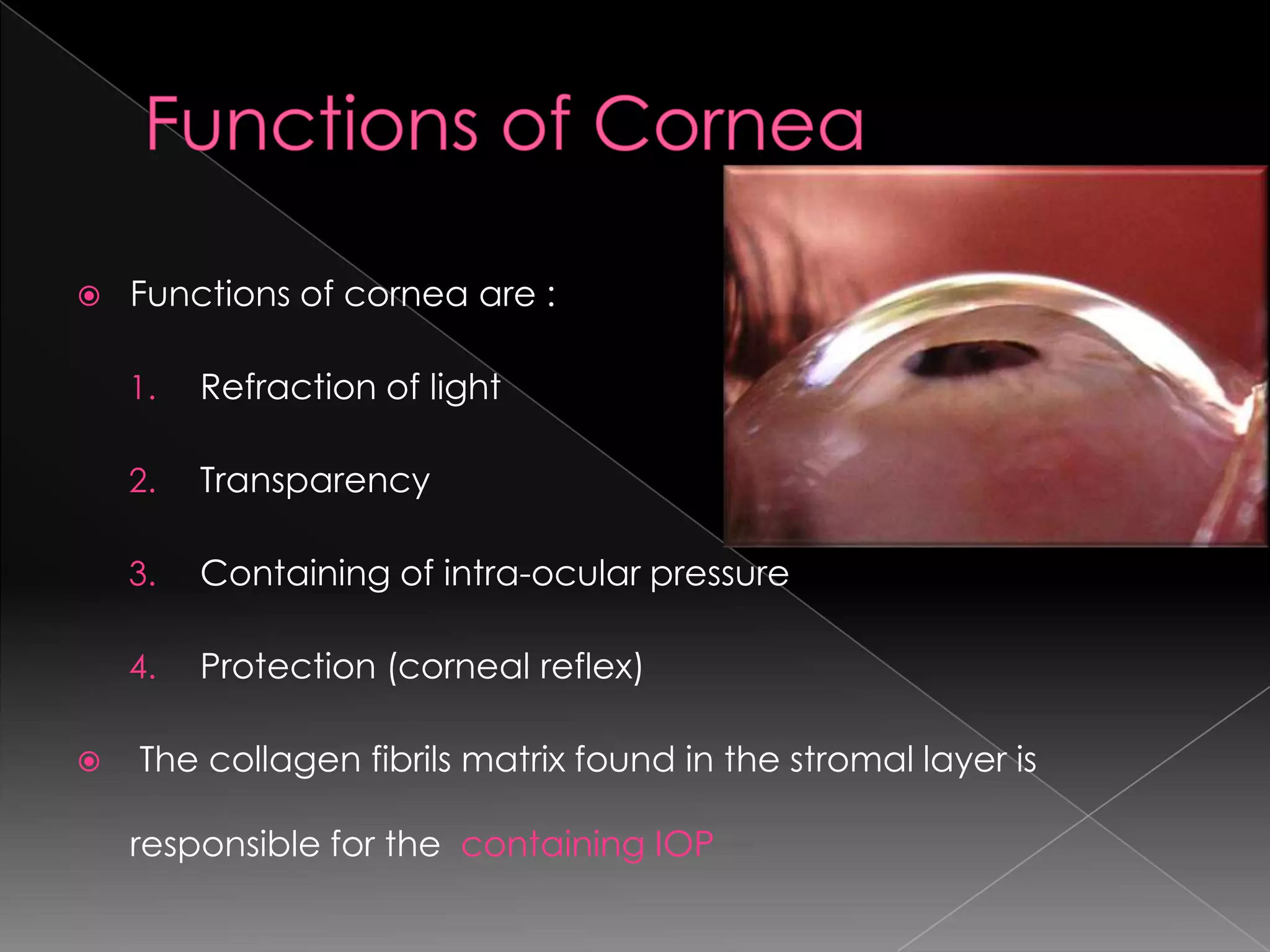 Cornea m.b | PPTX