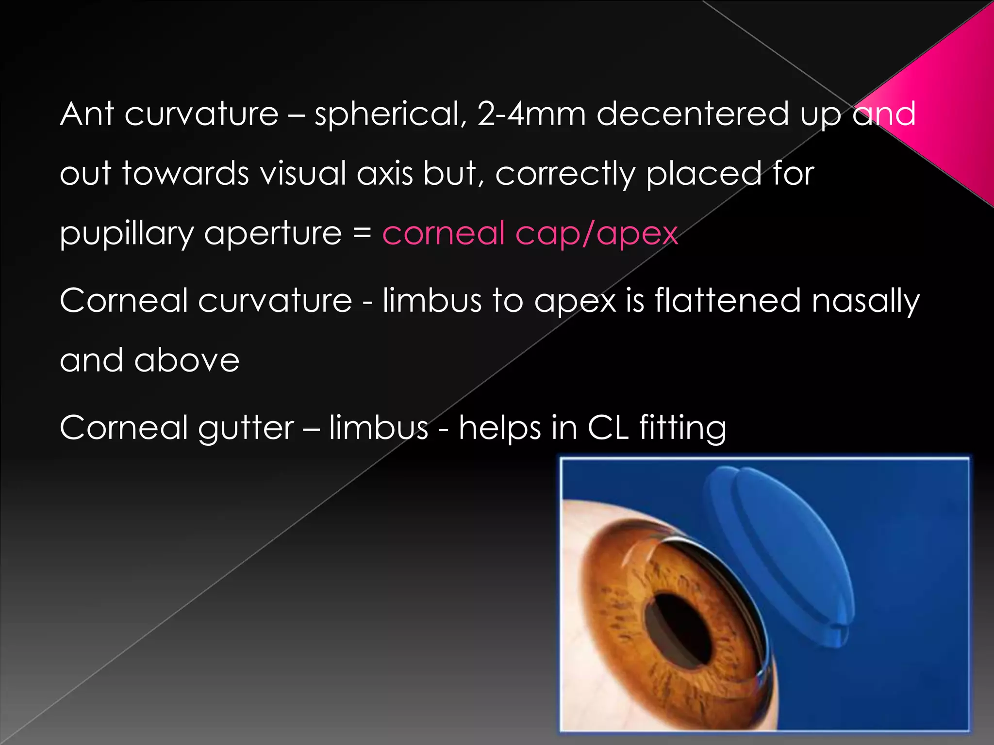 Cornea m.b | PPTX