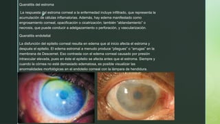 presentación anatomía y patología de la CORNEA.pptx