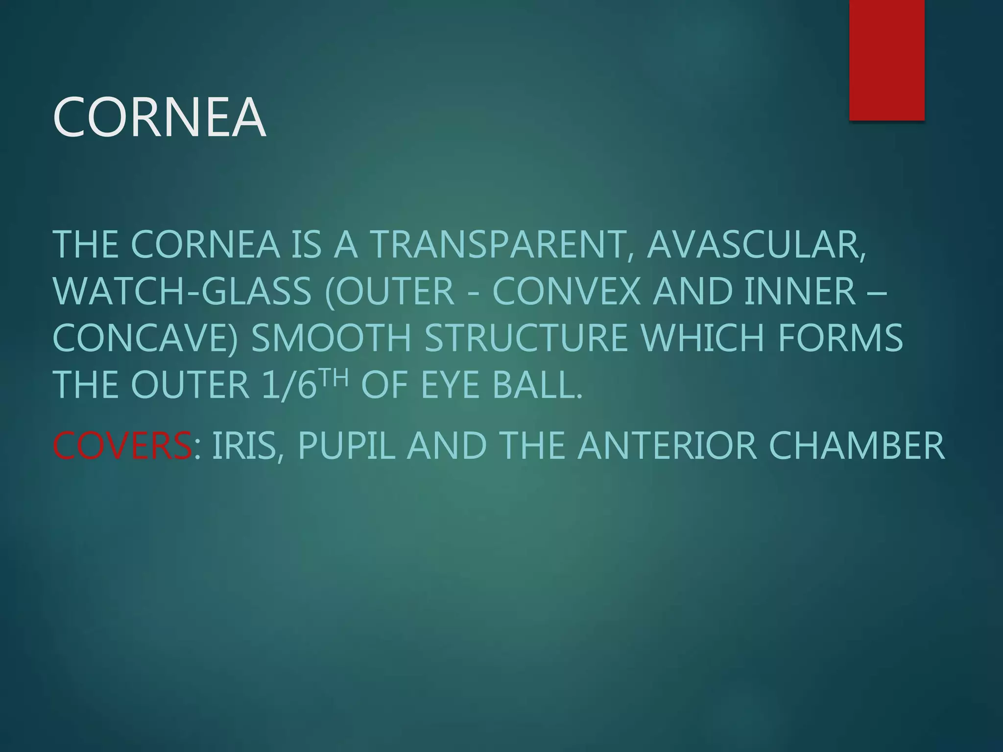 Cornea Basic | PPT