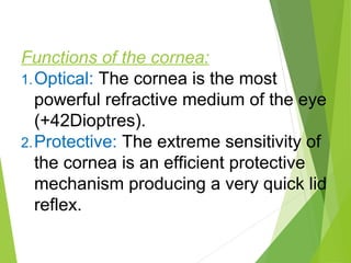 Diseases of Cornea Keratitis | PPT