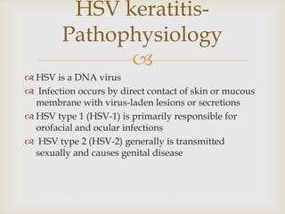 Cornea : Fungal Keratitis | PPT