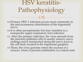 Cornea : Fungal Keratitis | PPT