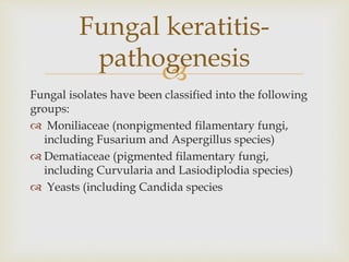 Cornea : Fungal Keratitis | PPT
