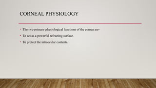 The Cornea: Structure, Function, layers of cornea | PPTX