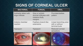 cornea 3 rd year 2023.pptx
