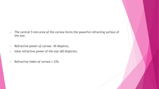 CORNEA anat and physio.pptx
