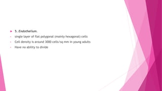 CORNEA anat and physio.pptx