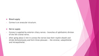 CORNEA anat and physio.pptx