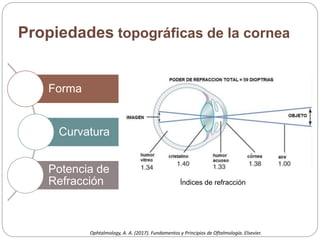 Cornea Anatomia.pptx