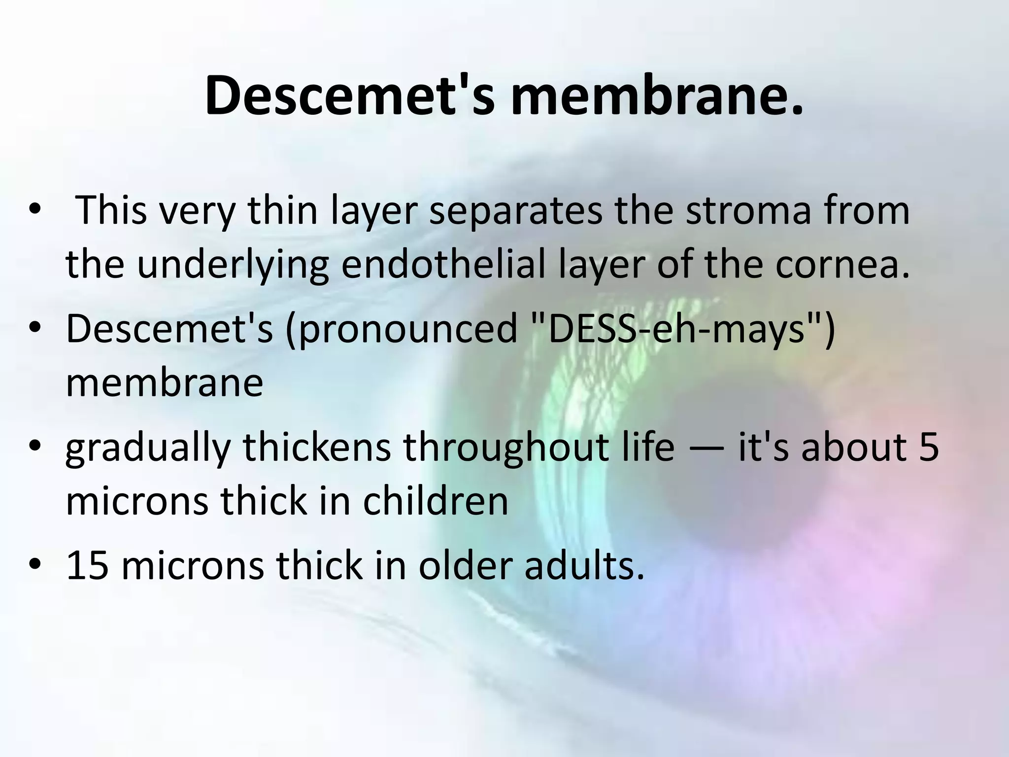 Cornea anatomy | PPT