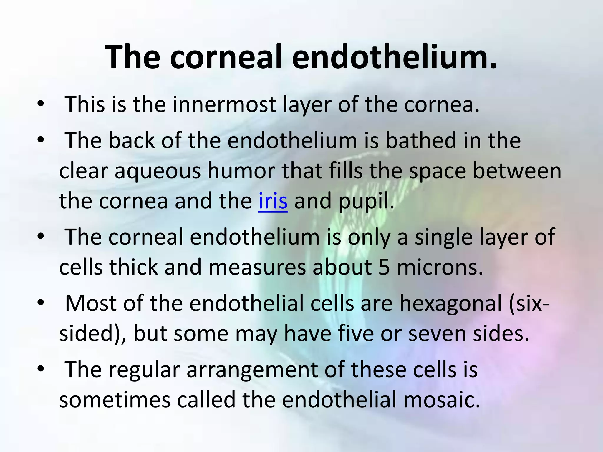 Cornea anatomy | PPT