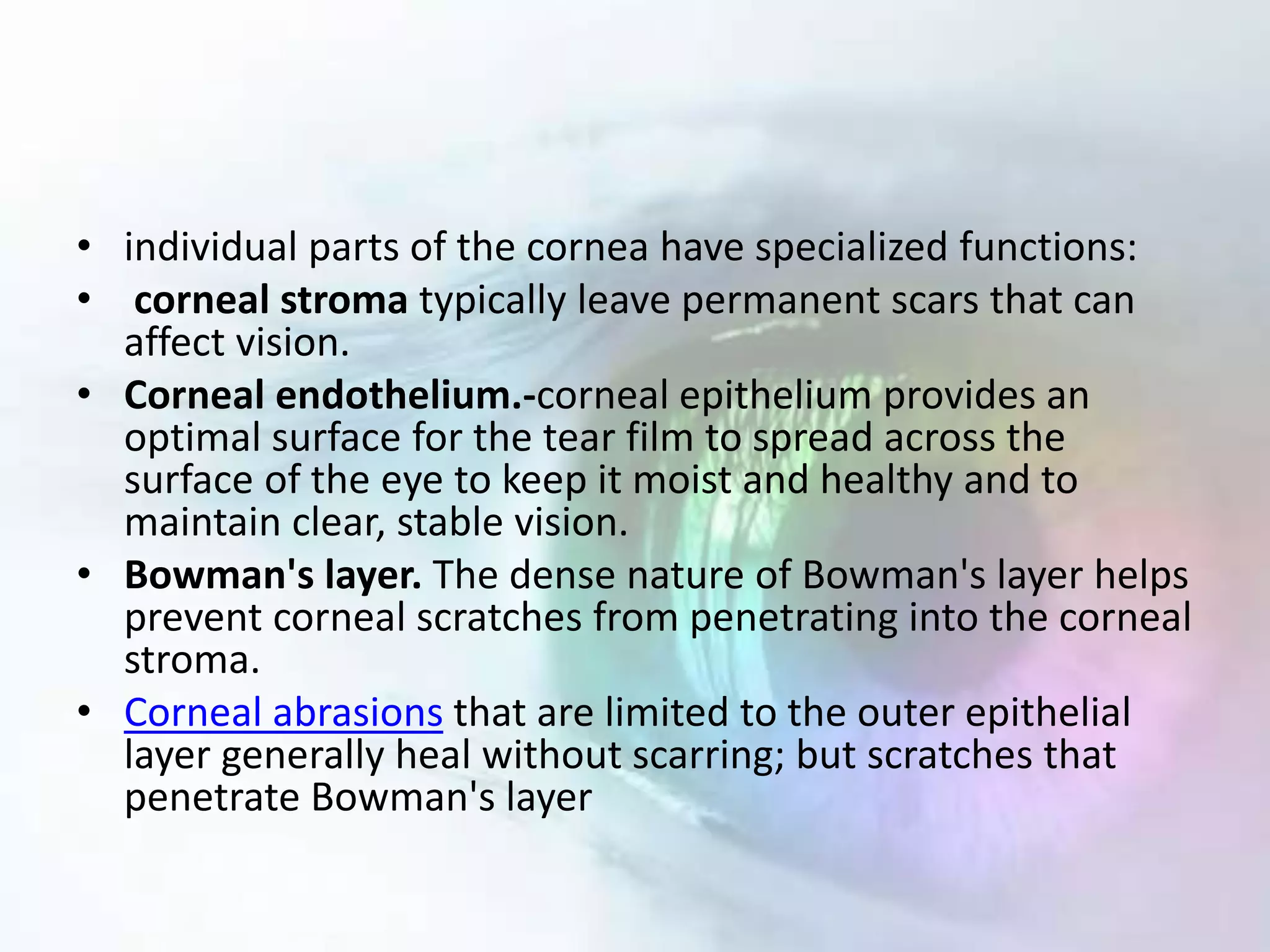 Cornea anatomy | PPT