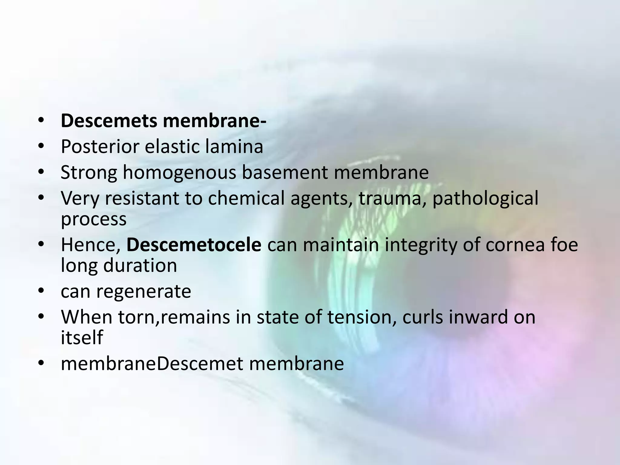 Cornea anatomy | PPT
