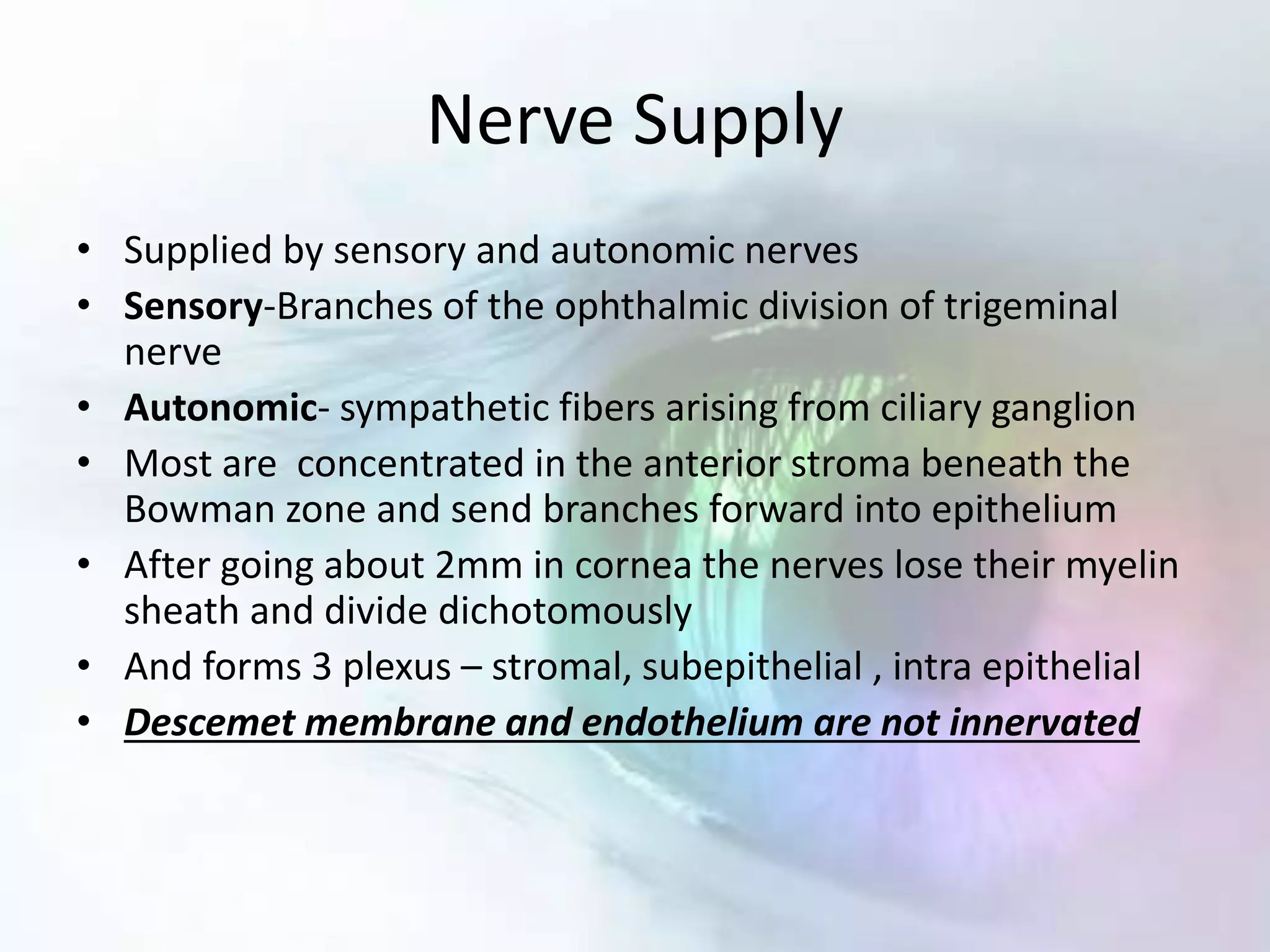 Cornea anatomy | PPT