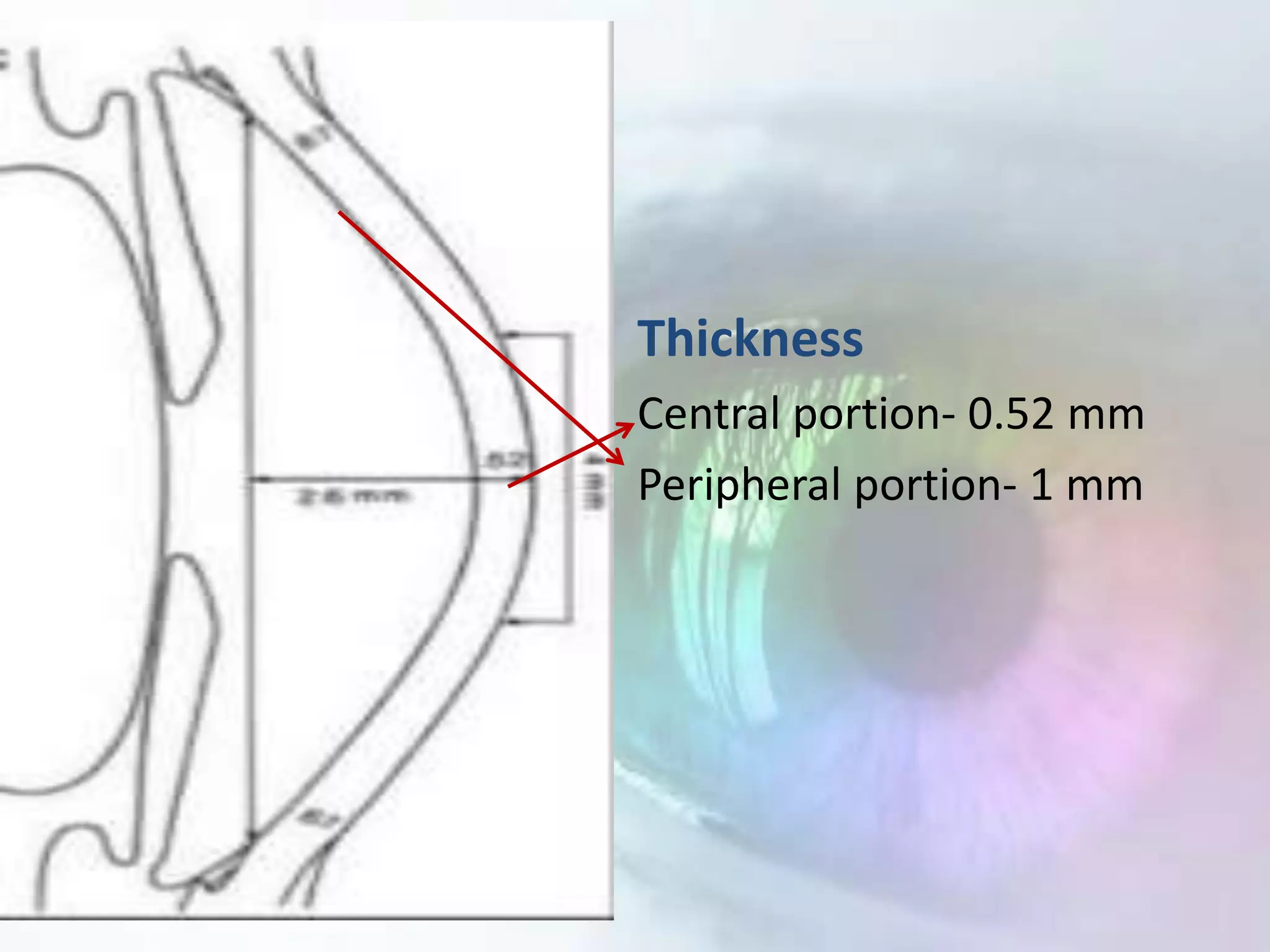 Cornea anatomy | PPT